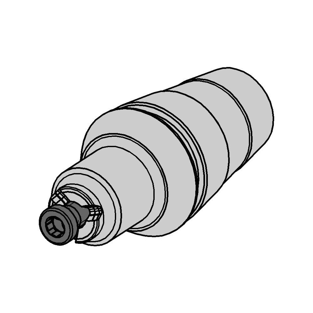 HORN - Replaceable Tip Milling Shanks: Shank Type: Cylindrical; Shank ...
