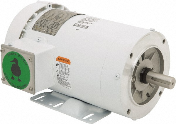 Leeson - Premium Efficient AC Motor: TEFC Enclosure | MSC Direct
