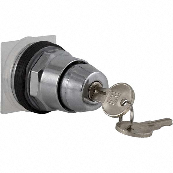 Schneider Electric - Selector Switch with Contact Blocks: 2 Positions ...