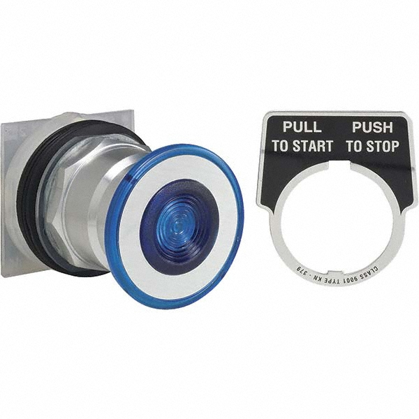 Schneider Electric - Push-Button Switch: 30 mm Mounting Hole Dia ...