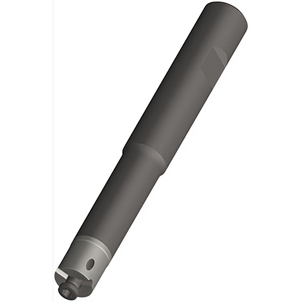 HORN - Replaceable Tip Milling Shanks: Shank Type: Cylindrical; Shank ...