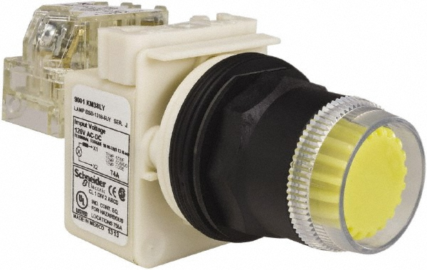 Schneider Electric - 30mm Mount Hole, Extended Straight, Pushbutton Switch with Contact Block ...