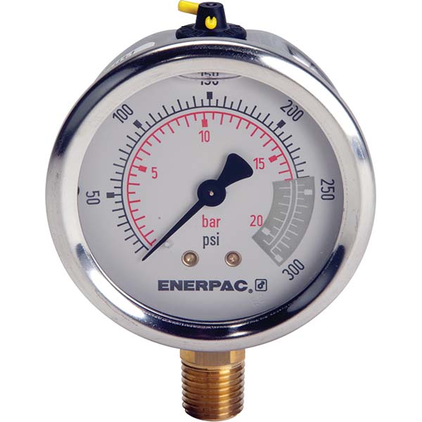 WORKSMART PRESSURE GAUGE 2 1 2 DIAL 0 300 PSI WS PE GAGE 159 FAST WORKSMART PRESSURE GAUGE 2 1 2 DIAL 0 300 PSI WS PE GAGE 159 FAST