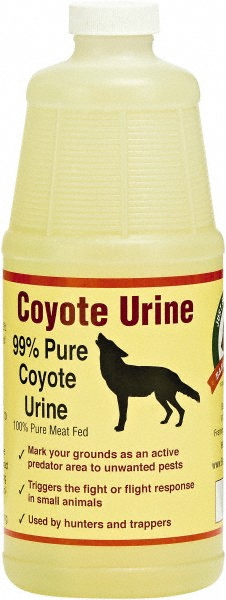 Bare Ground Solutions - One Quart of Coyote Urine Predator Scent to ...