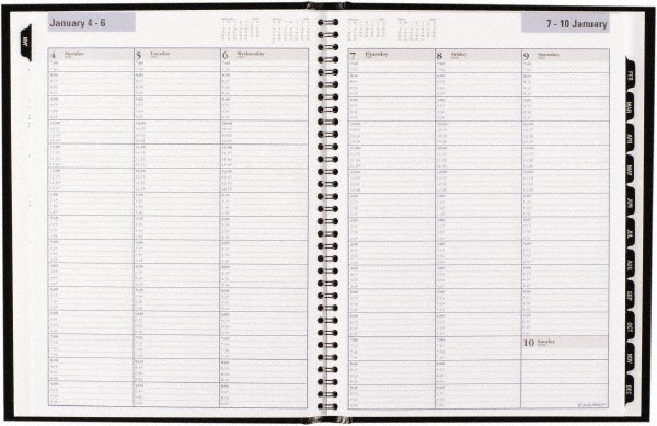DayMinder - Appointment Book: 52 Sheets, 8 x 11" Sheet, White Paper ...