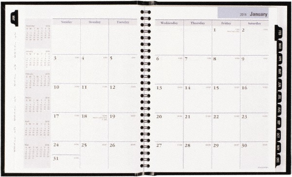 DayMinder - Monthly Planner: 12 Sheets, 6-7/8 x 8-3/4" Sheet, Planner ...