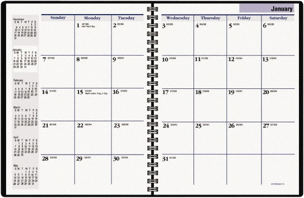 DayMinder - Appointment Book: 24 Sheets, 6-7/8 x 8-3/4" Sheet, Planner ...