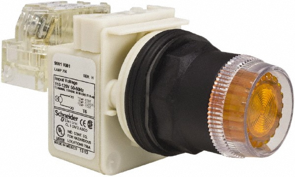 Schneider Electric - 30mm Mount Hole, Extended Straight, Pushbutton Switch with Contact Block ...
