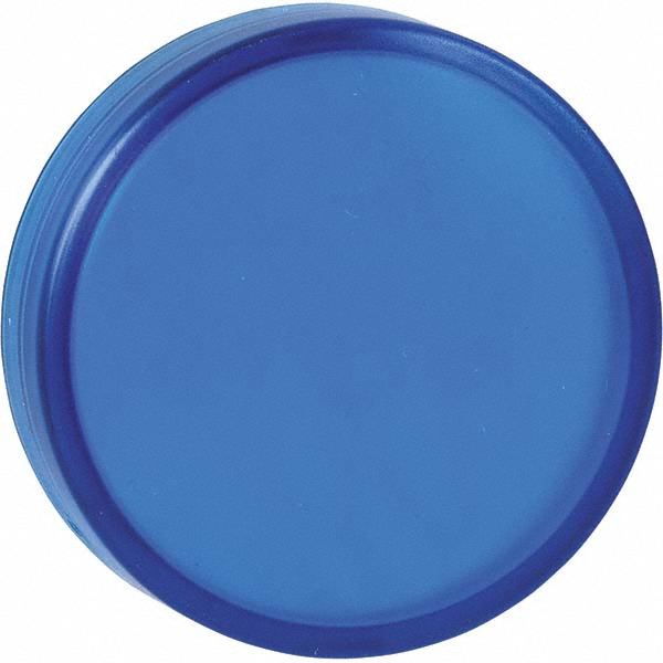 Schneider Electric - Round Pilot and Indicator Light Lens | MSC Direct