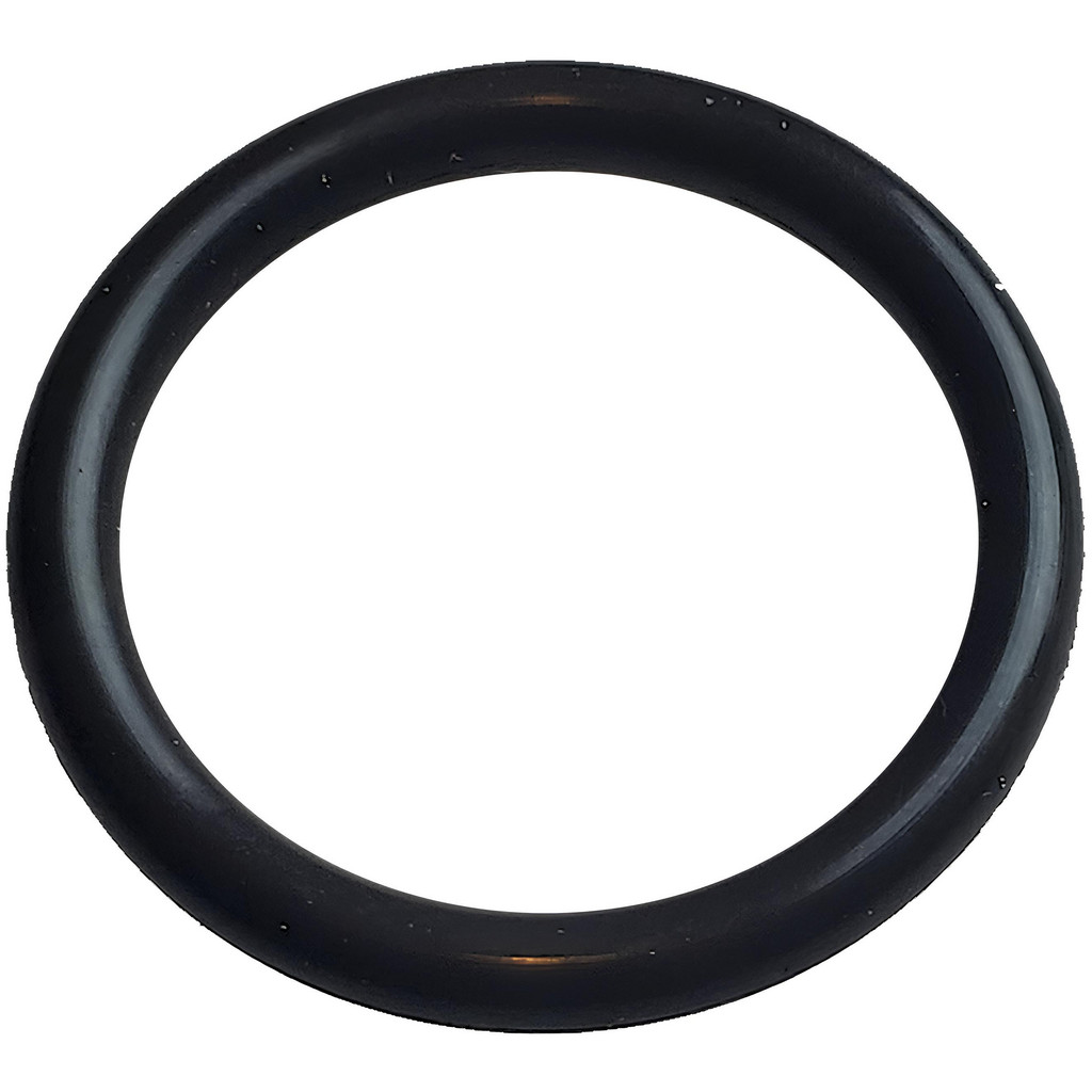 CRC - SmartWasher O-Ring - PG16 3/32" thick VITON | MSC Direct