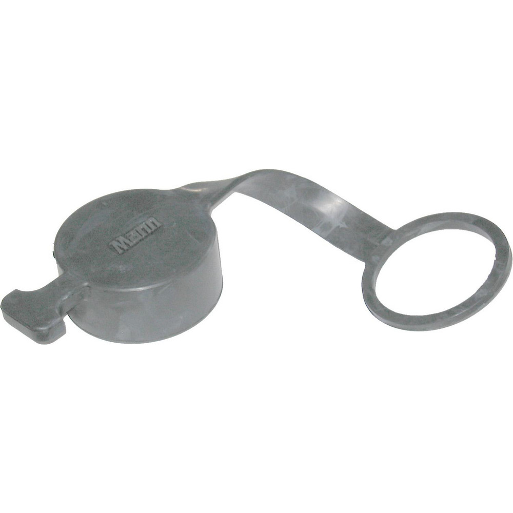 Dixon Valve & Coupling - Reusable Hose Fittings: Type: Cap; Thread Size ...