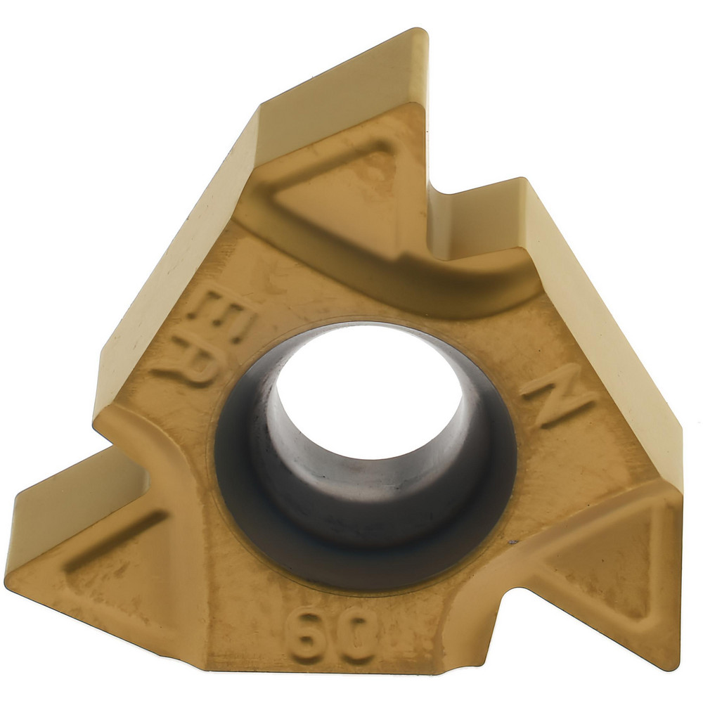 Iscar - Laydown Threading Insert: 22ERM N 60 IC-250, Carbide | MSC Direct