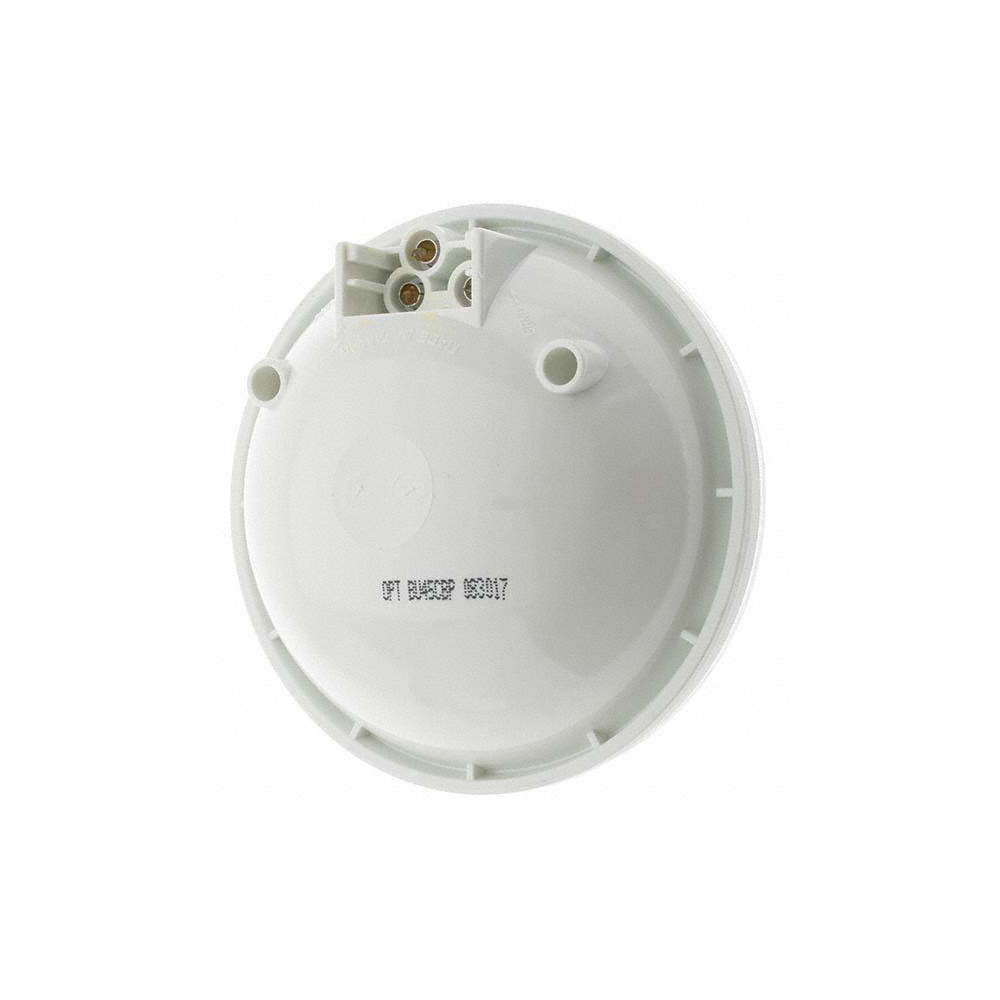 Value Collection - Clear Automotive Back-Up Light | MSC Direct