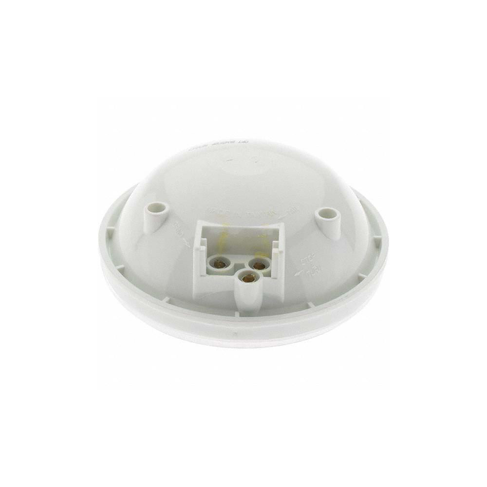 Value Collection - Clear Automotive Back-Up Light | MSC Direct