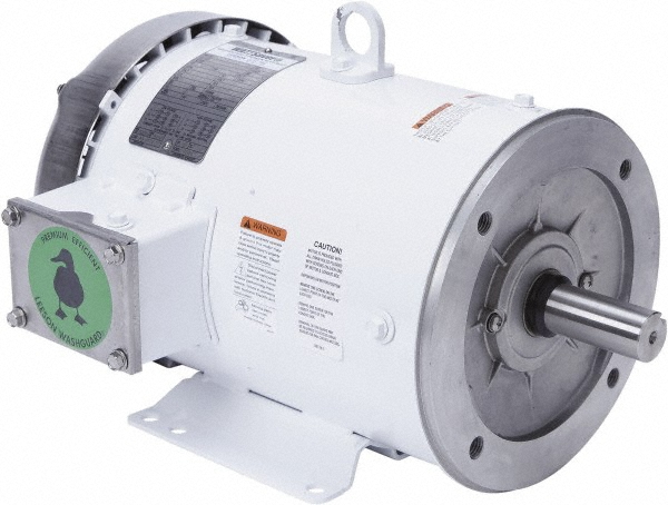 Leeson - Premium Efficient AC Motor: TEFC Enclosure | MSC Direct