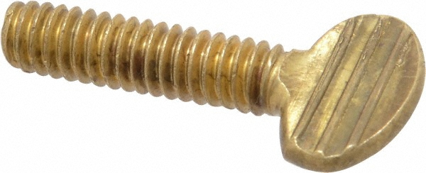 Value Collection 1 4 20 Oval Shoulderless Brass Thumb Screw value-collection-1-4-20-oval-shoulderless-brass-thumb-screw