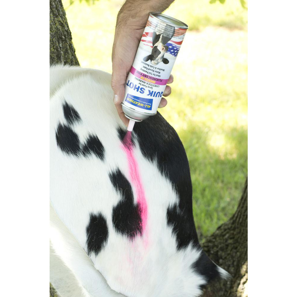 All-Weather - Spray Paint: Blue, Flat, 16 oz Net Fill, Water-Based ...