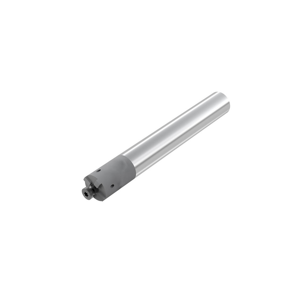 Seco - Replaceable Tip Milling Shanks: Shank Type: Cylindrical; Shank ...