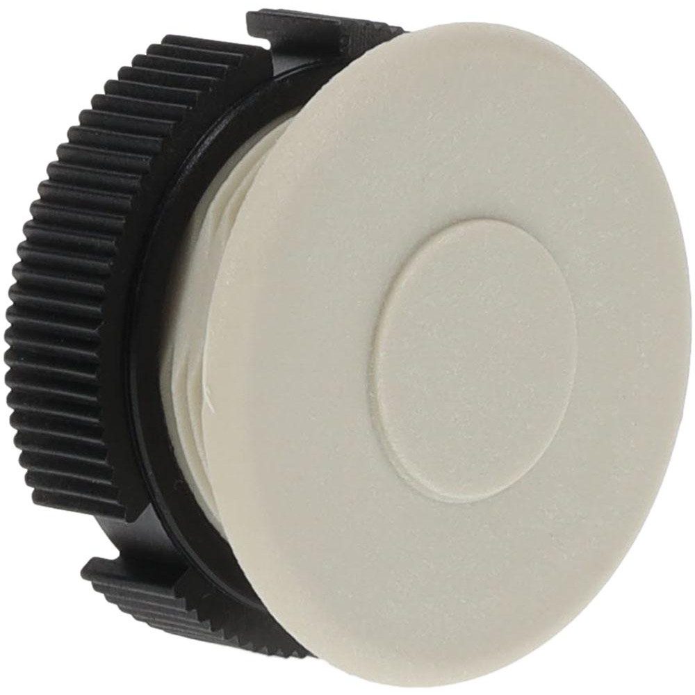 Schneider Electric - Flush Pushbutton Switch Blanking Plug | MSC Direct