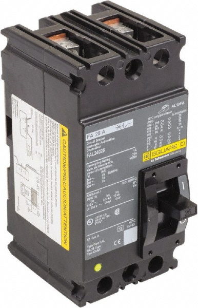 Square D - 25 Amp, 250 VDC, 480 VAC, 2 Pole, Panel Mount Molded Case ...