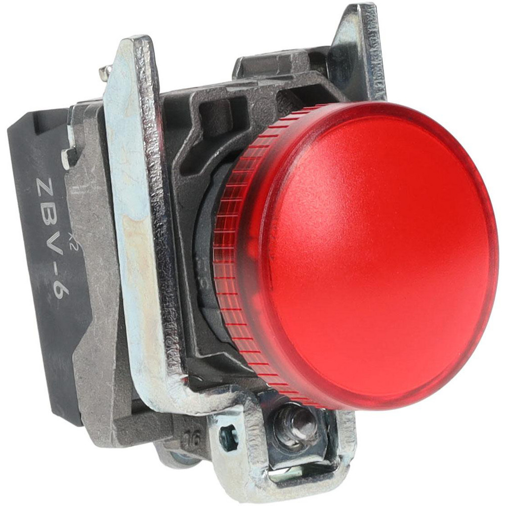 Schneider Electric - 250 V Red Lens Pilot Light | MSC Direct
