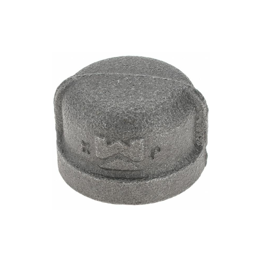 B&K Mueller - Black End Cap: 3/4", Threaded | MSC Direct