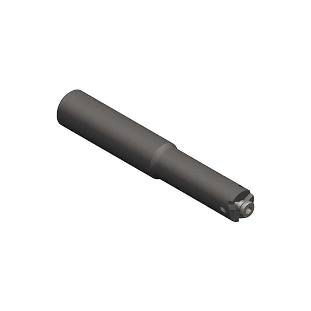 HORN - Replaceable Tip Milling Shanks: Shank Type: Cylindrical; Shank ...