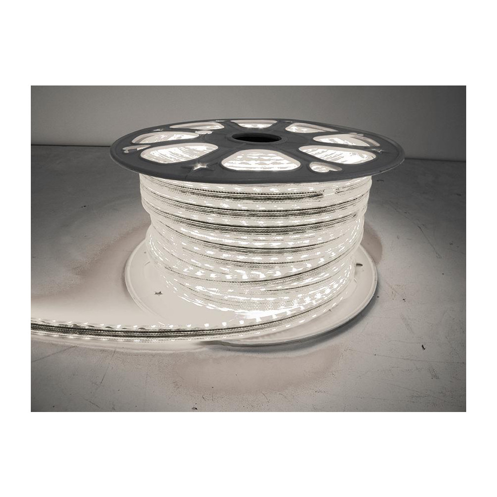 Race Sport - Temporary String Lights; Guard Material: Flexiplastic ...