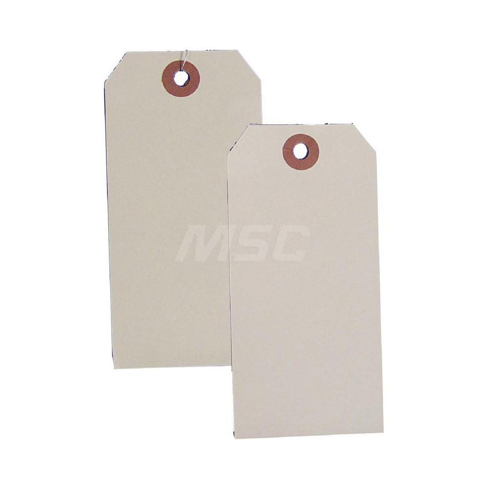 AccuformNMC - Blank Tag: Rectangle, 2-3/8" High, 4-3/4" Wide, Synthetic ...