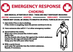 AccuformNMC - First Aid Sign: Rectangle, EMERGENCY, EMERGENCY RESPONSE ...