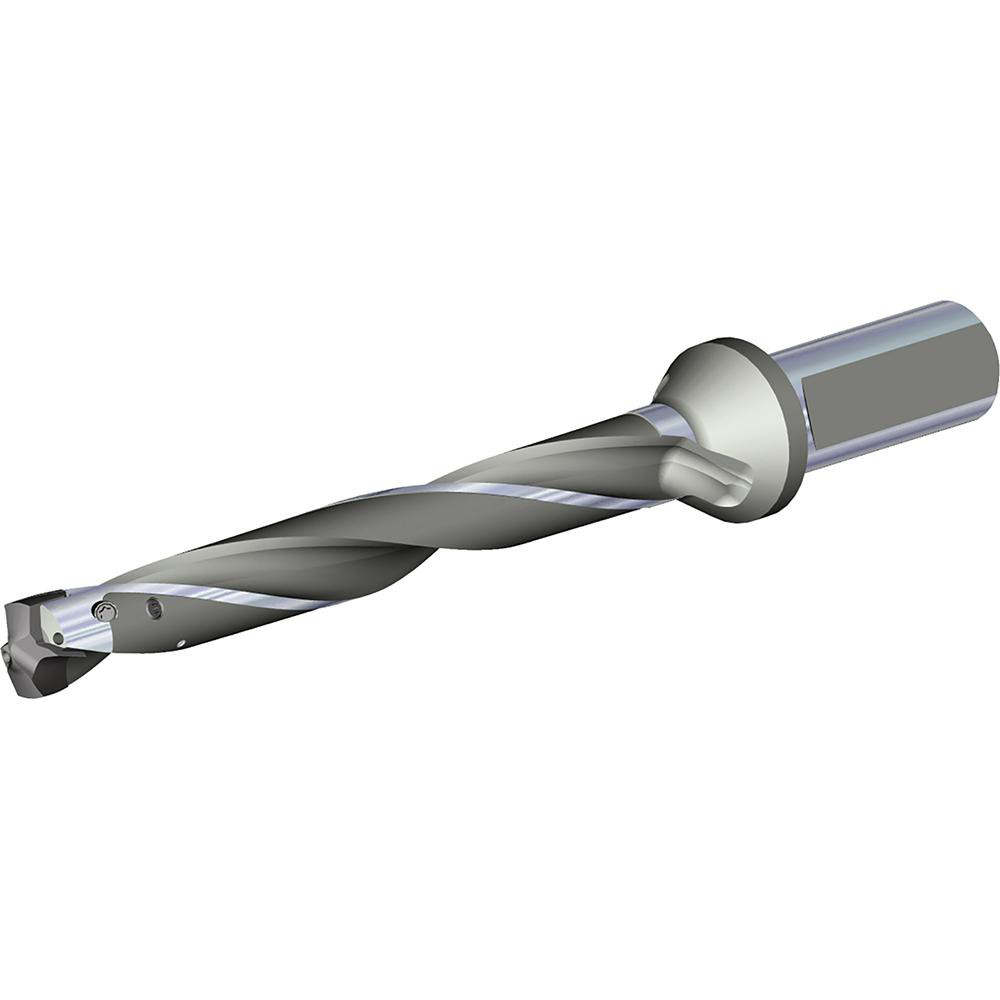 Widia - Replaceable-Tip Drill: 29 to 30 mm Dia, 240 mm Max Depth, 32 mm ...