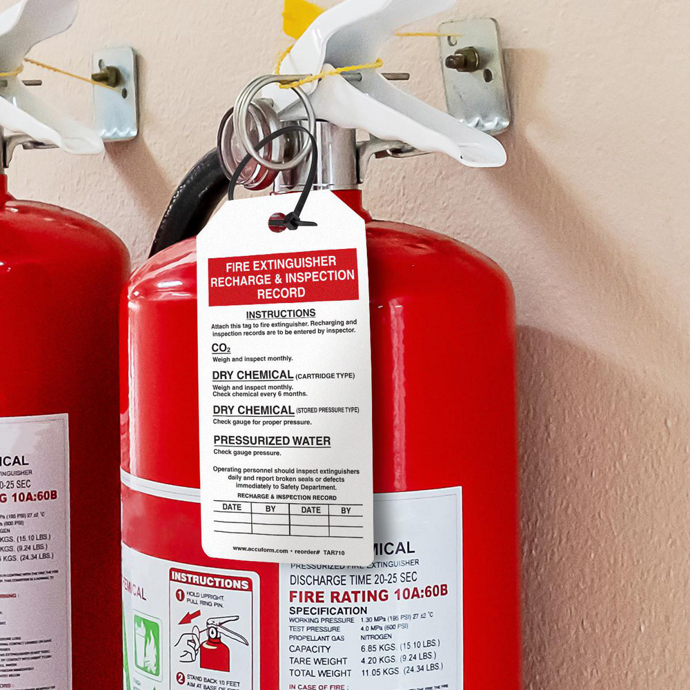 AccuformNMC - Inspection Tag: Rectangle, 6-1/4" High, Synthetic Paper ...