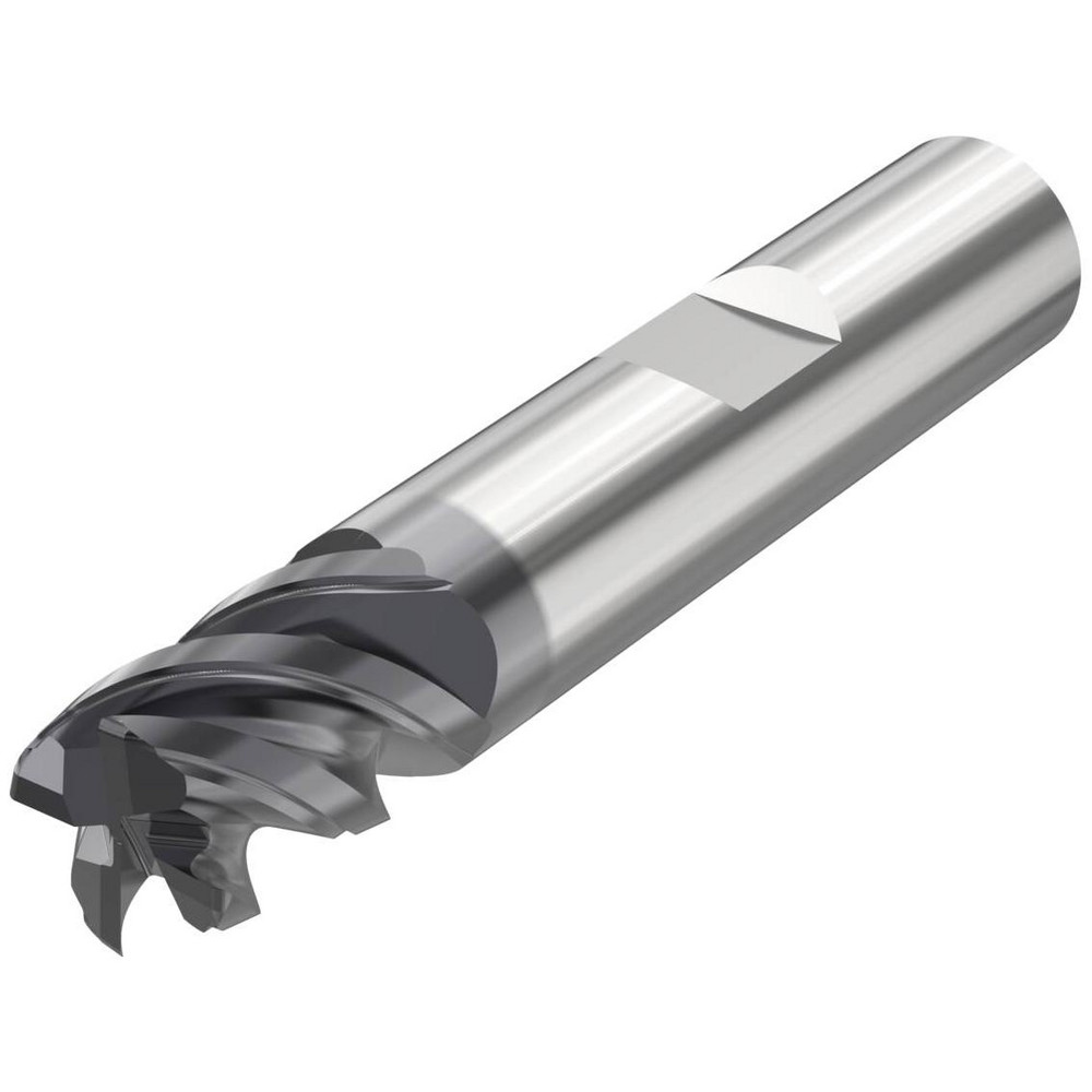 Seco - Corner Radius End Mill: 10.00 mm Dia, 13.0000 mm LOC, 48.00 deg ...