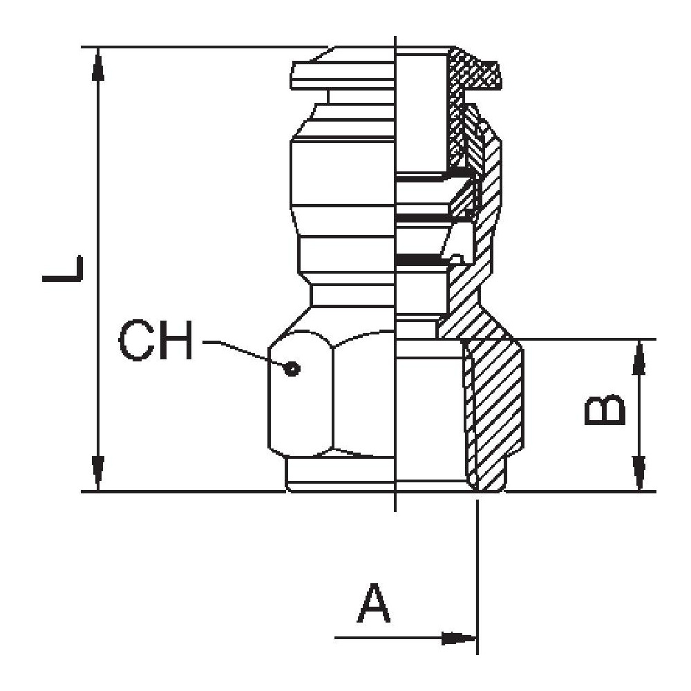 Aignep USA - Push-to-Connect Tube x FNPT x Tube x Female Fitting ...