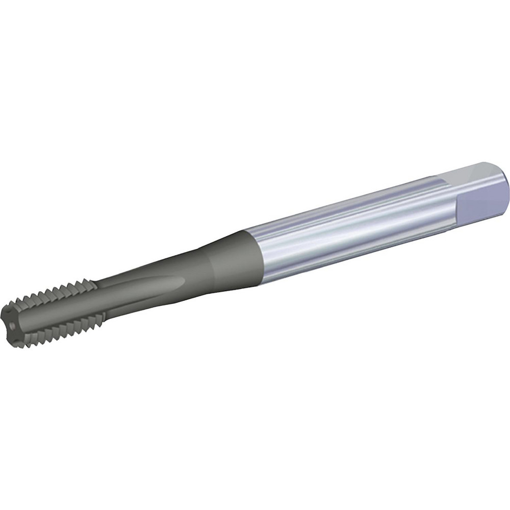 Widia - Straight Flute Tap: M10x1.25 Metric, 4 Flute, Bottoming Chamfer ...