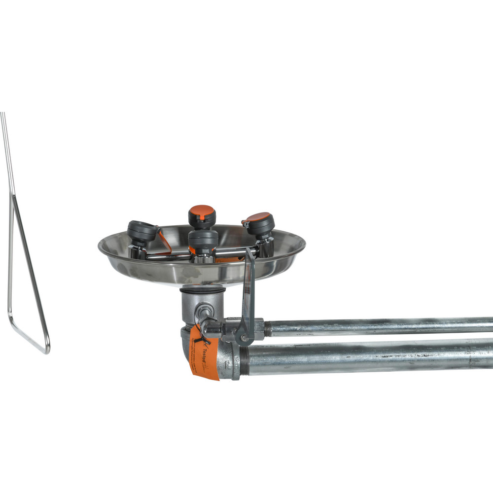 PRO-SAFE - 1-1/4" Inlet, 20 GPM shower Flow, Drench shower, Eye & Face ...