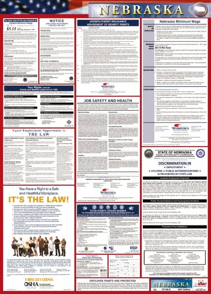 NMC - 24" Wide x 40" High Laminated Paper Labor Law Information Poster ...