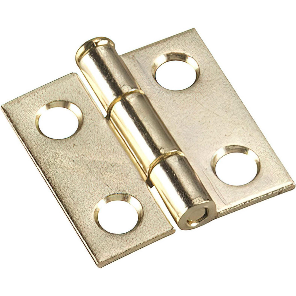 Onward - Specialty Hinges: Hinge Material: Steel; Mount Type: Screw-On ...