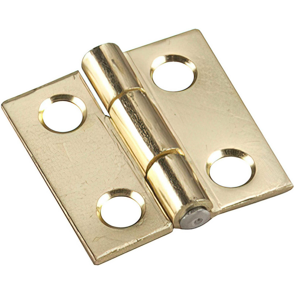 Onward - Specialty Hinges: Hinge Material: Steel; Mount Type: Screw-On ...