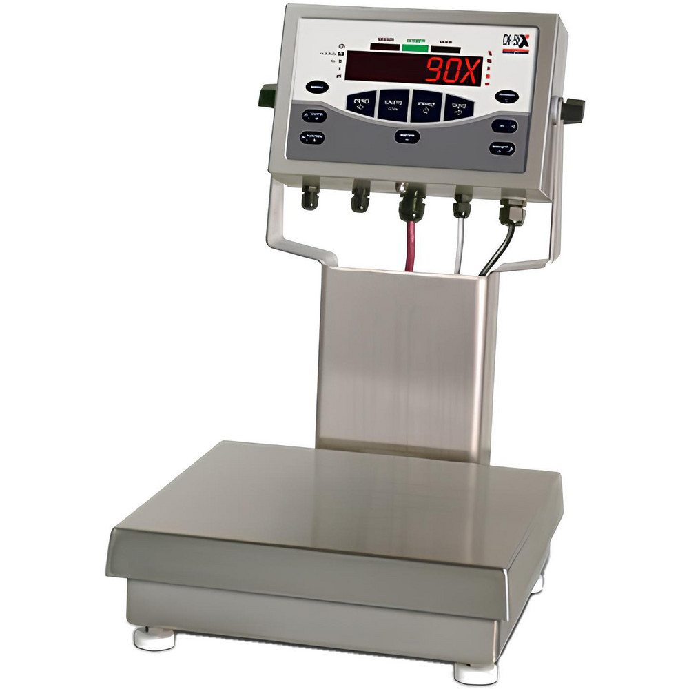 Rice Lake Weighing Systems - Balance Scales: System Of Measurement ...