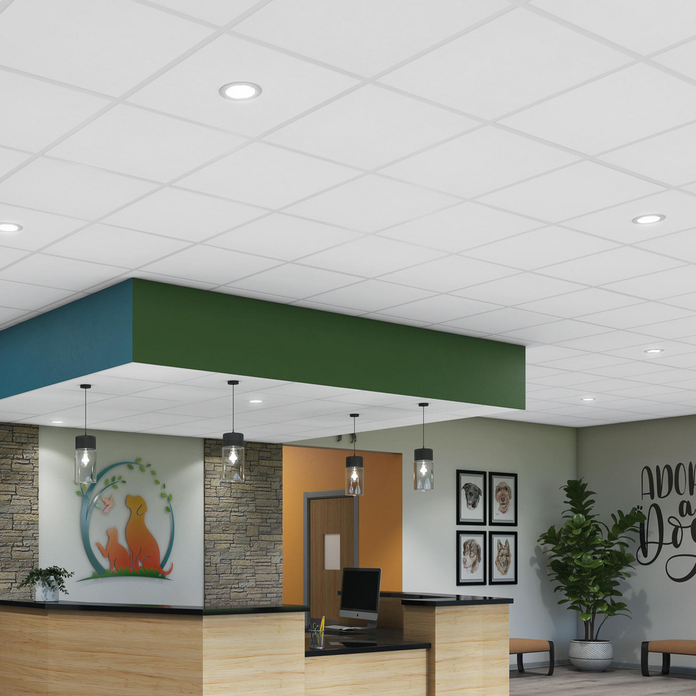 Armstrong World - ULTIMA 24 in x 24 in Beveled Tegular Edge Ceiling ...