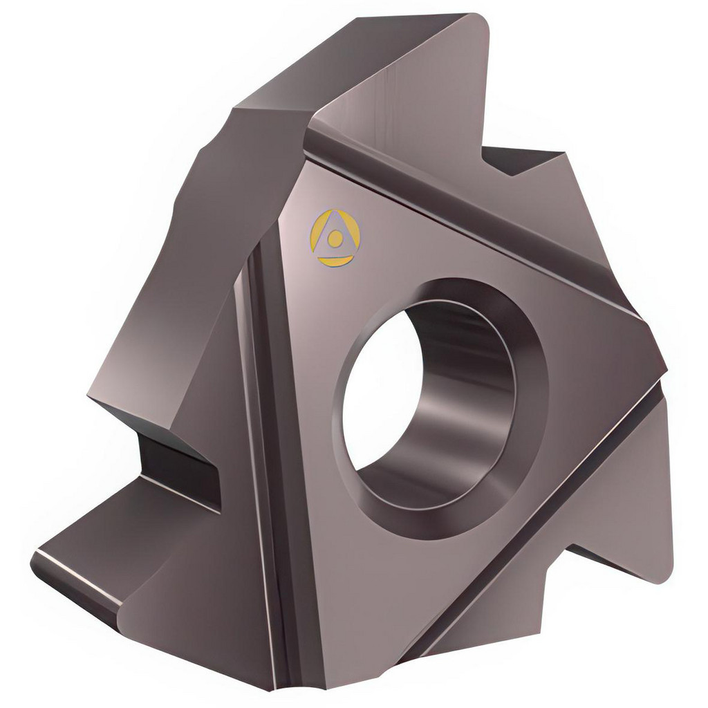 Tool-Flo - Laydown Threading Insert: LDS54425FT#3 AC22F, Carbide | MSC ...
