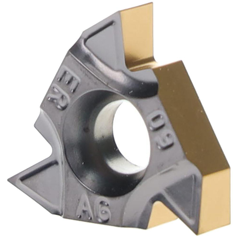 Iscar - Laydown Threading Insert: 16ERMAG60 IC808, Carbide | MSC Direct