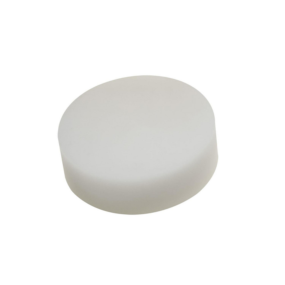 Professional Plastics - Plastic Disc: POM, 4" Dia, 1" Thick, Natural ...