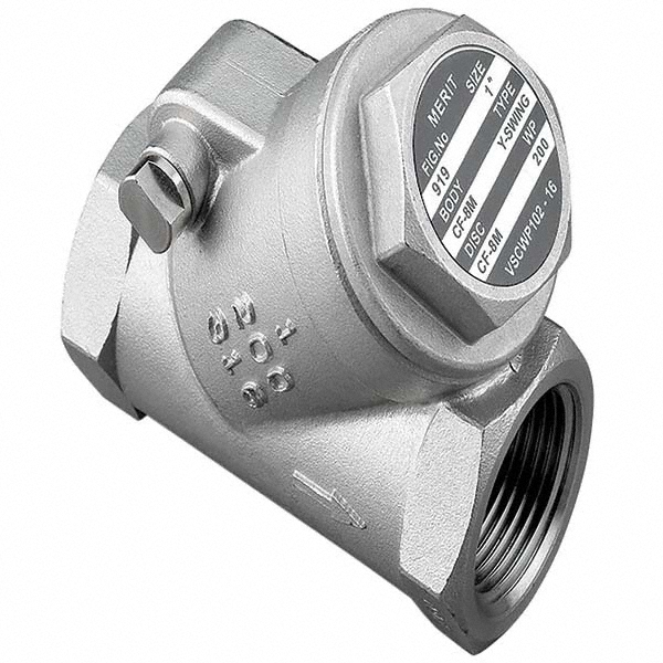 Merit Brass - Check Valve: 2" Pipe | MSC Direct