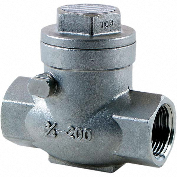 Merit Brass - Check Valve: 2" Pipe | MSC Direct