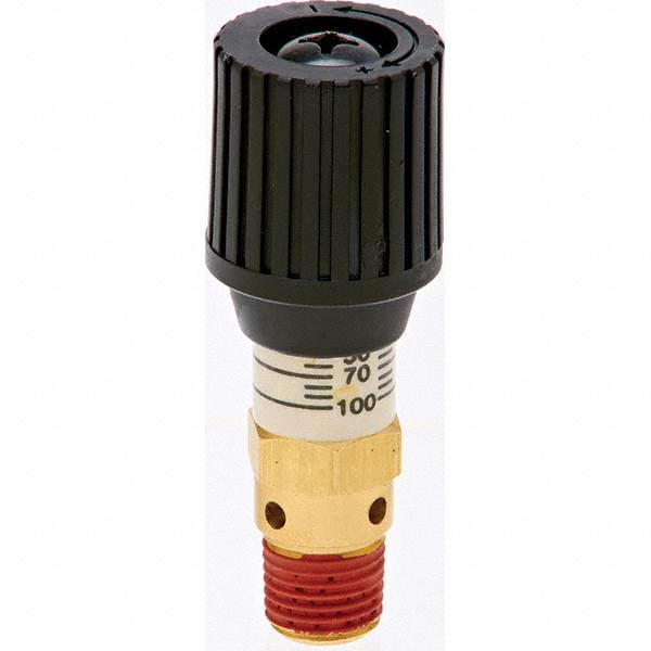 Control Devices - ASME Safety Relief Valve: 1/4" Inlet, 100 Max psi ...