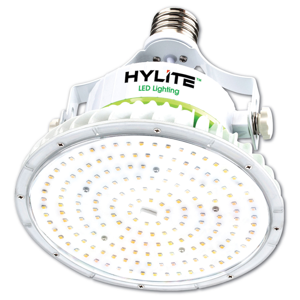 Hylite LED - LED Lamp: Commercial & Industrial Style, LED, Mogul Base ...