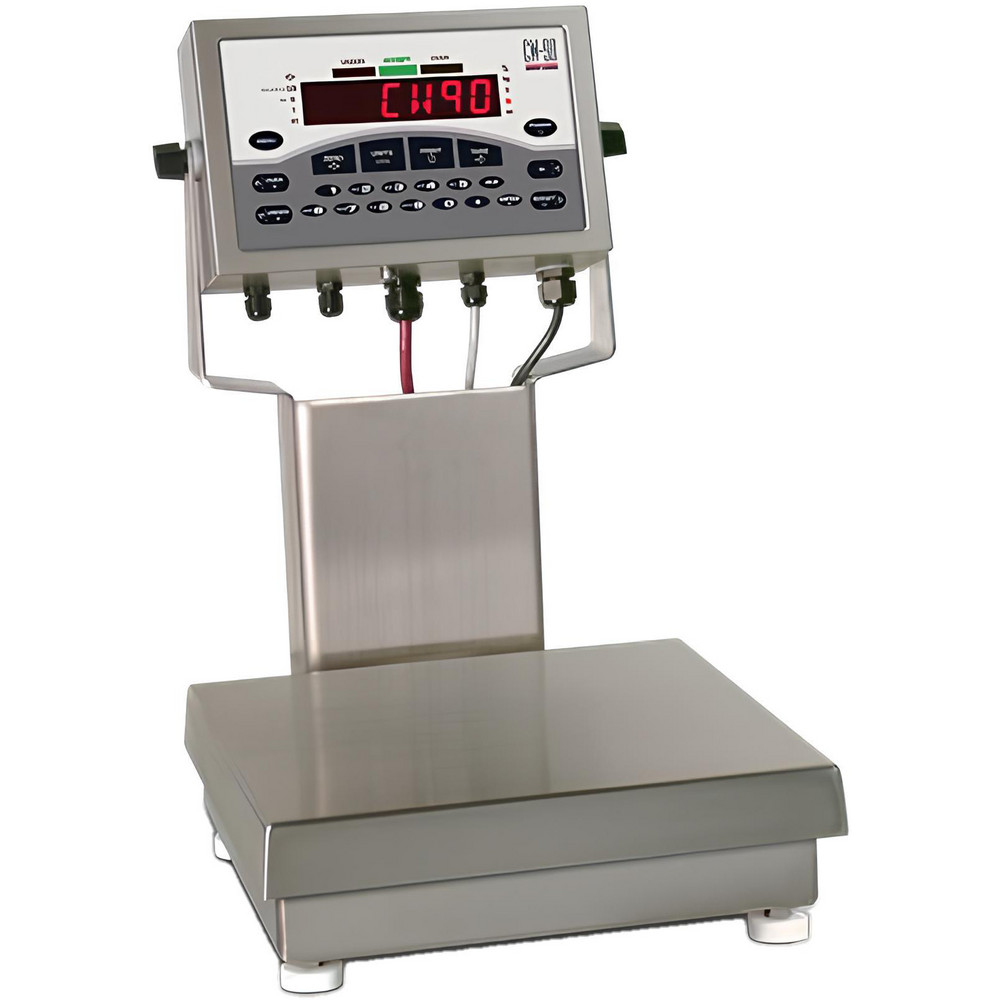 Rice Lake Weighing Systems - Balance Scales: Pounds, External, LED, 100 ...