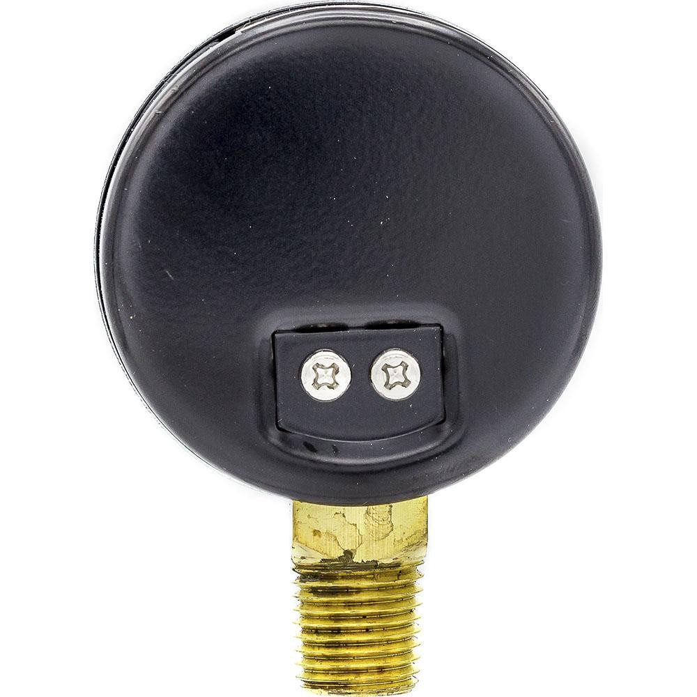 PIC Gauges - Pressure Gauge: 2" Dial Dia, 0 to 160 psi, 1/4" MNPT, Lower Mount | MSC Direct